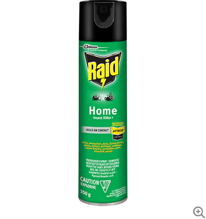 RAID INSECT KILLER 12OZ — R-Safety